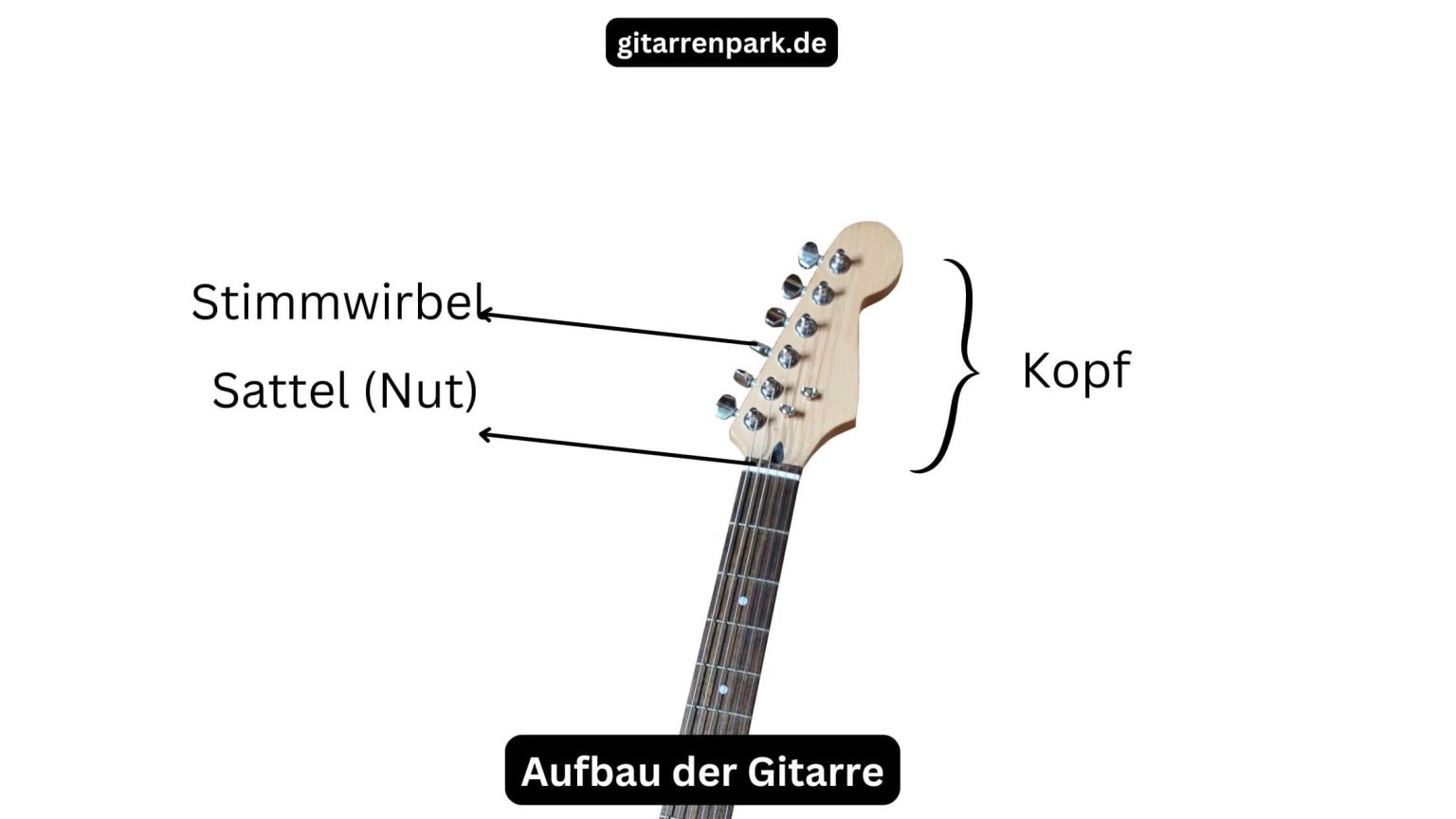 Gitarre Aufbau – Gitarrenpark