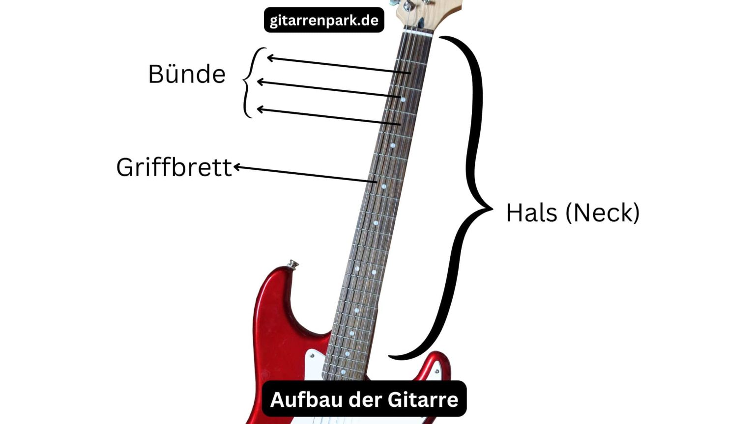 Aufbau Der Gitarre Erklärt: | Wichtige Teile & Funktionen